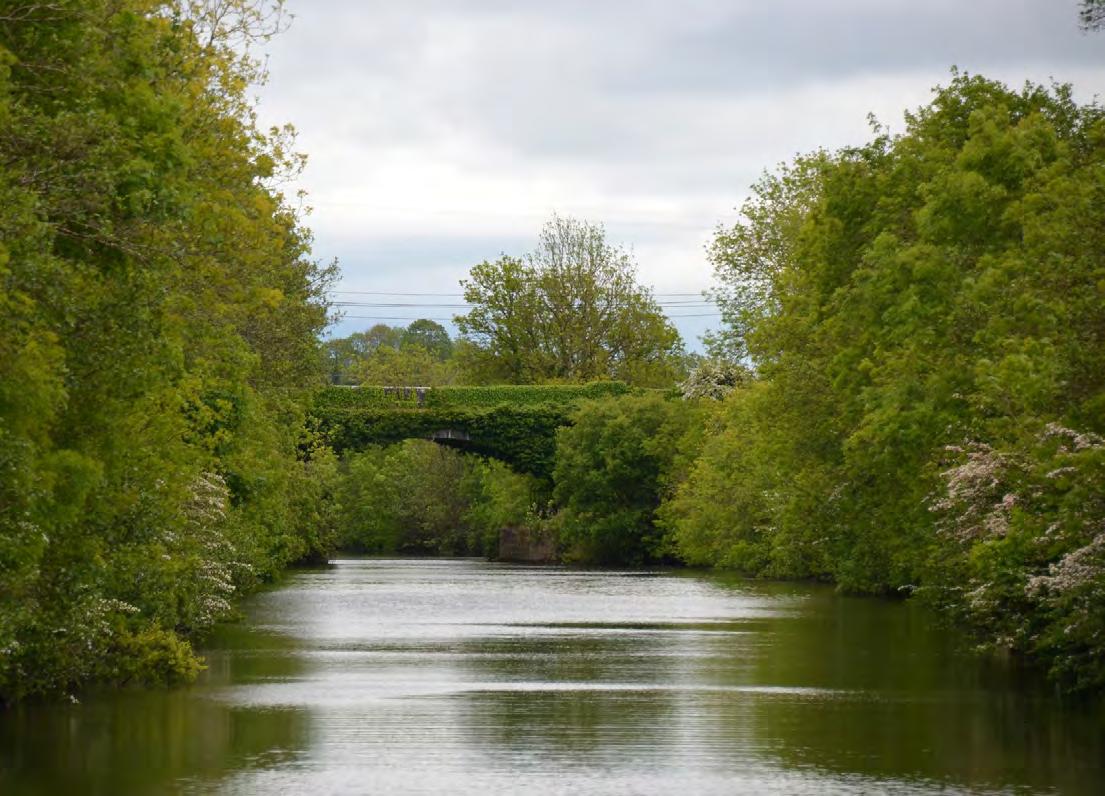 River Poddle Flood Alleviation Scheme - M&N Civils